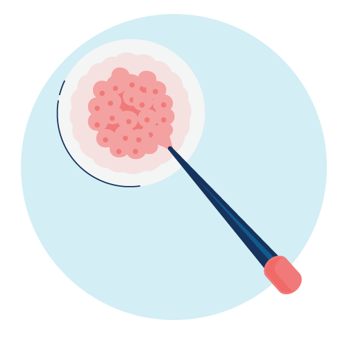 Gestational Surrogacy On Long Island Ny Serving Nassau And Suffolk