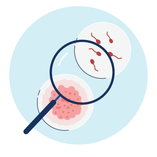 Gestational Surrogacy On Long Island Ny Serving Nassau And Suffolk