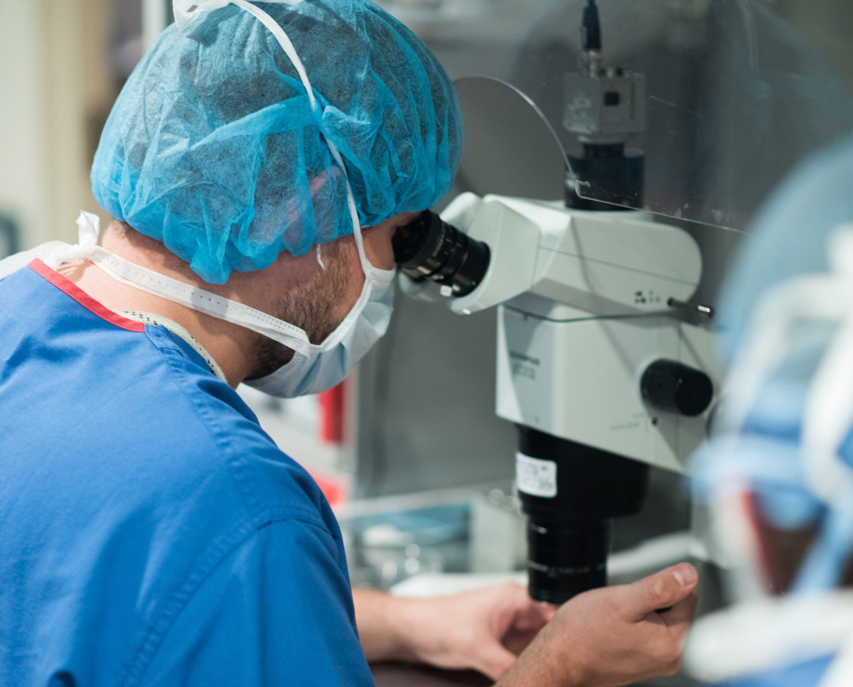 Testicular Sperm Aspiration on Long Island | Serving Nassau & Suffolk